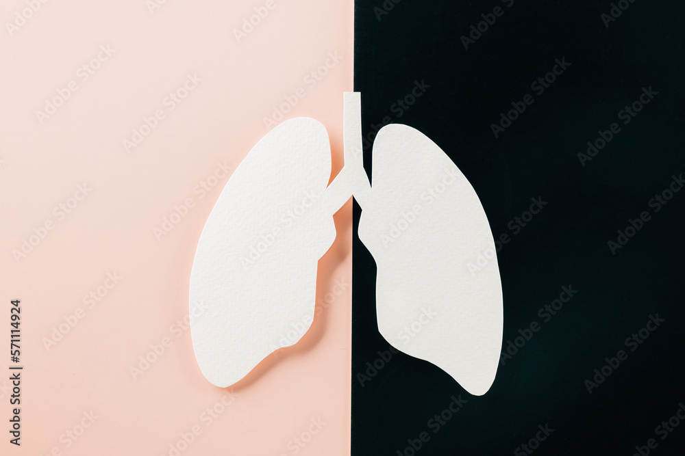 World TB day. Top view Lungs paper decorative symbol on pink and black ...