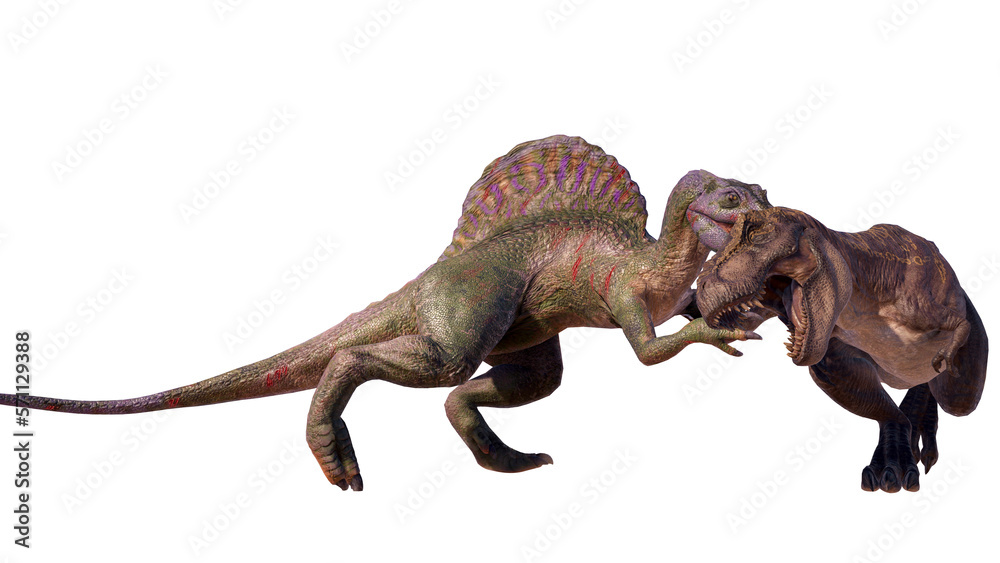 King Tyrannosaurus and Spinosaurus Fighting in Isolation on Transparent ...