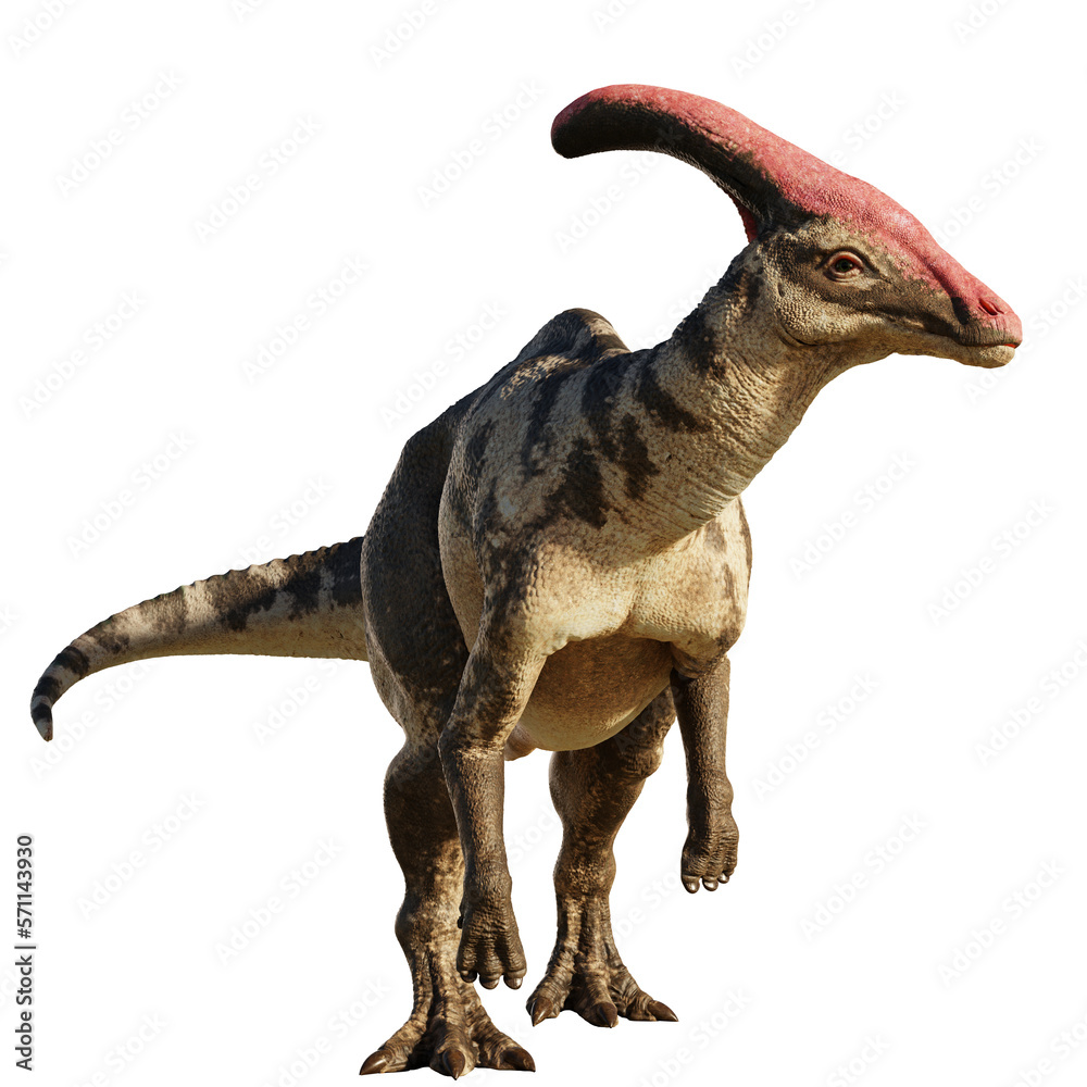 Parasaurolophus, dinosaur from Late Cretaceous, isolated on transparent ...