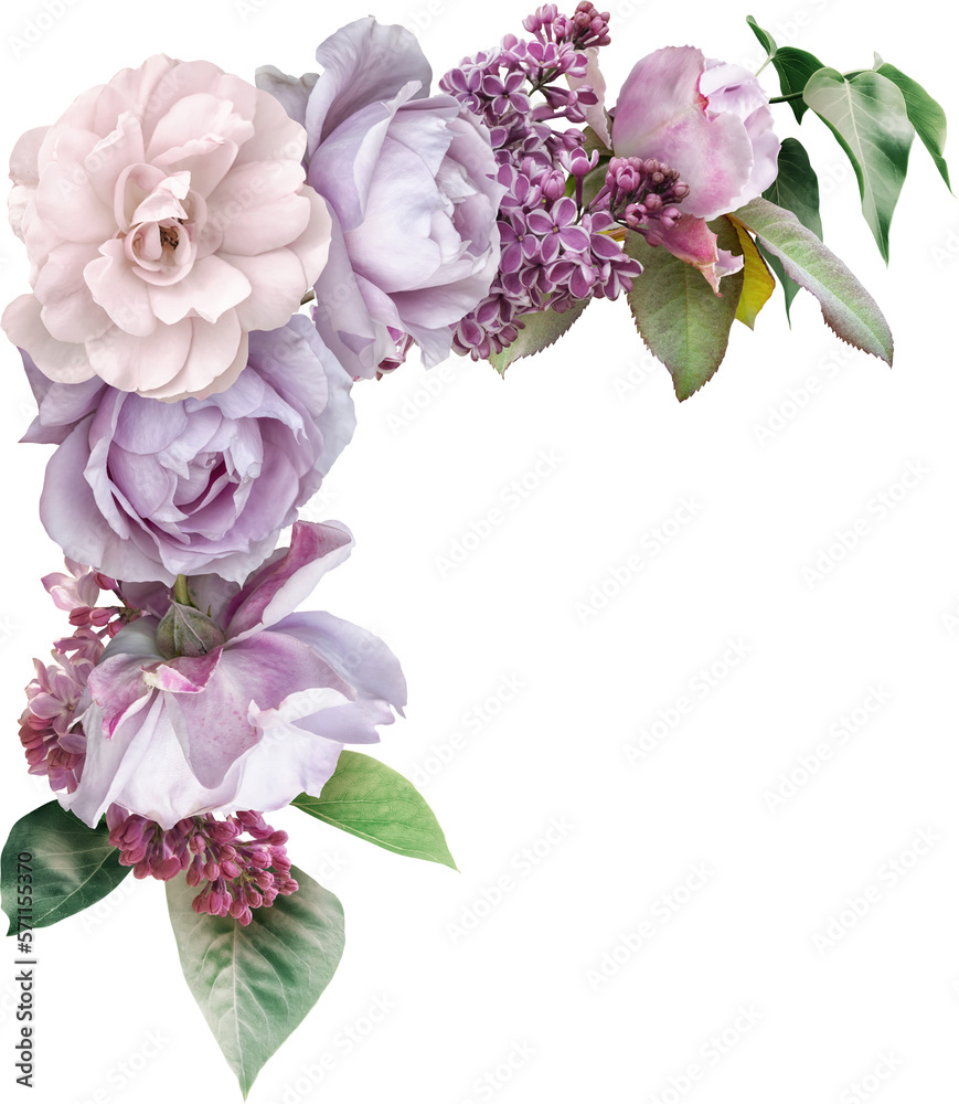 Lilac and roses isolated on a transparent background. Png file. Floral ...