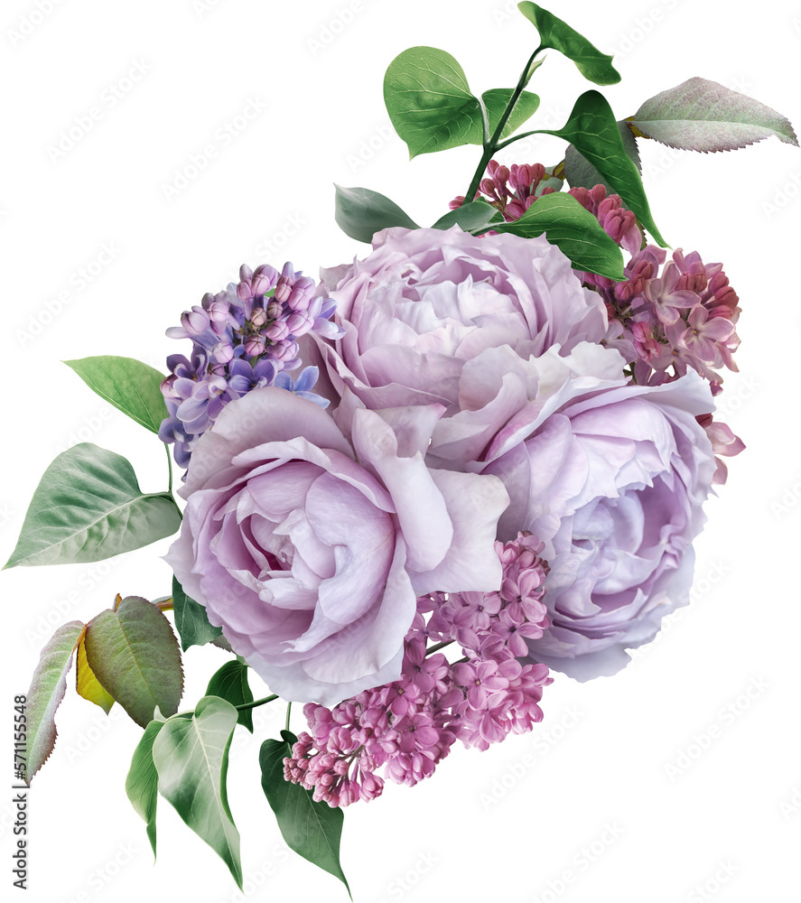 Lilac and roses isolated on a transparent background. Png file. Floral ...