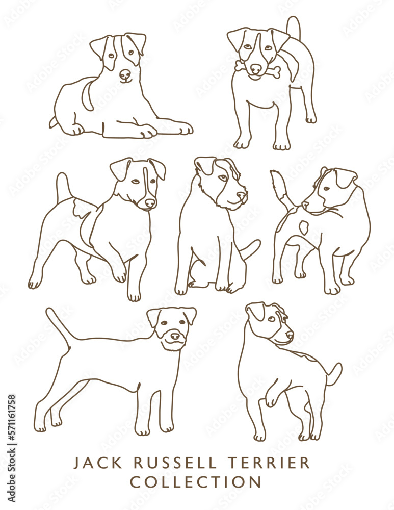 Jack Russell Terrier Dog Outline Illustrations in Various Poses Stock ...