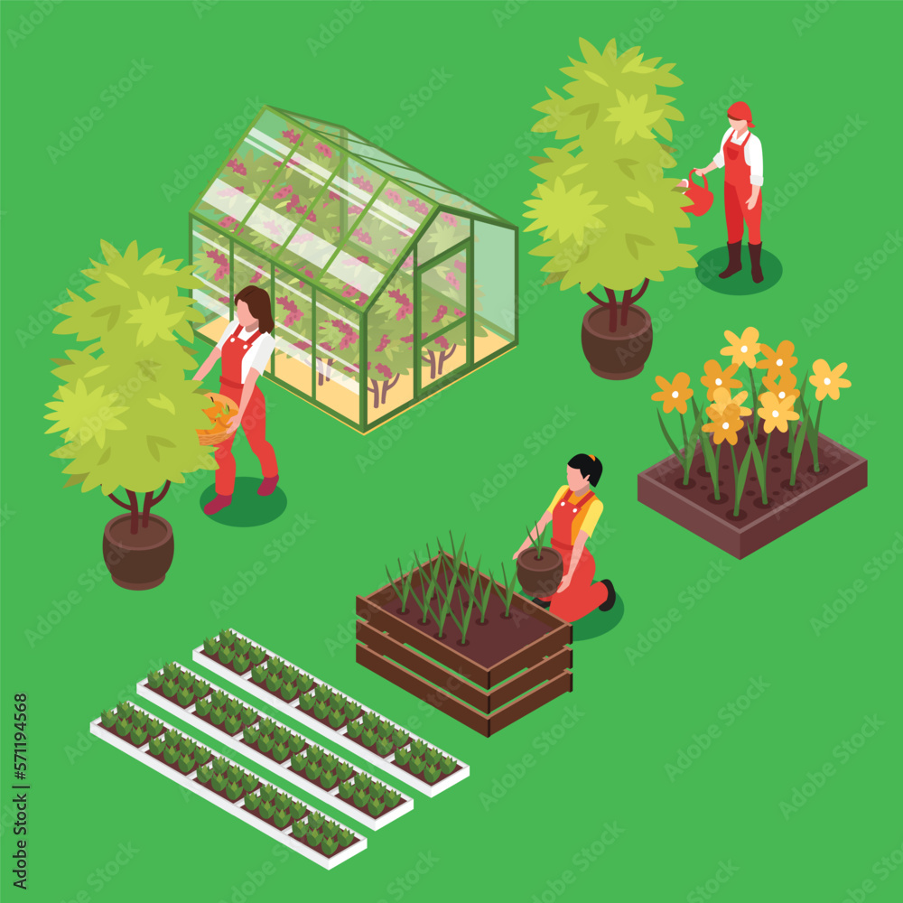 greenhouse with seedling and care of plants 3d isometric vector ...