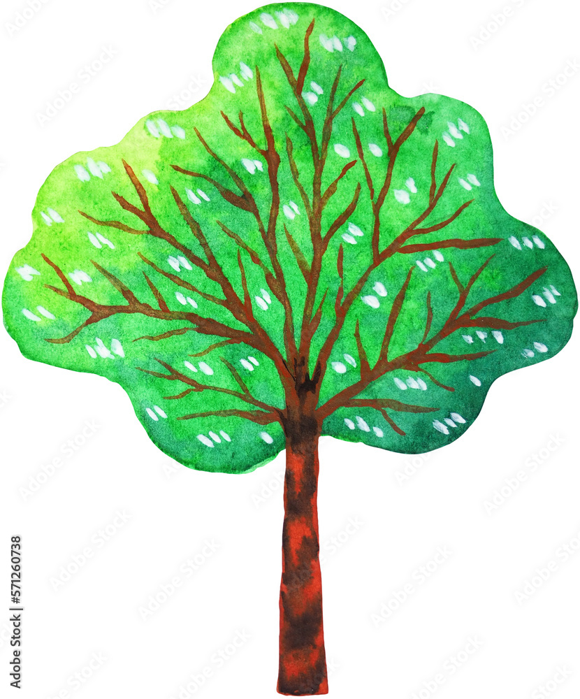 green tree nature plant leaf foliage branch eco ecology environment ...
