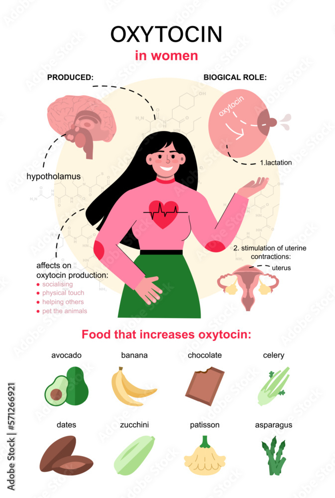 Oxytocin hormone infographics. Chemical strucuture affect on human ...