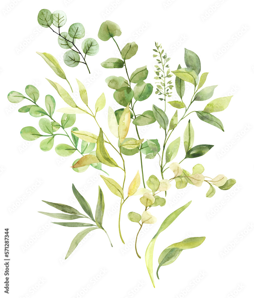 Watercolor hand painted botanical spring leaves and branches ...