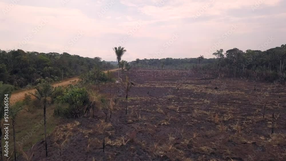 Drone aerial view of deforestation in the Amazon rainforest to open ...