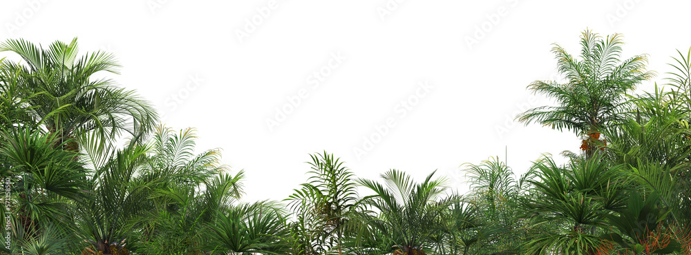 Trees and plants in the garden on a transparent background. Stock ...