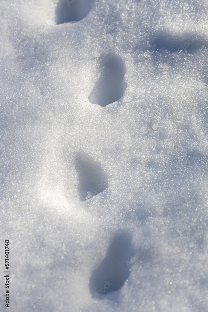 Full frame top view macro abstract texture background of deep snow ...