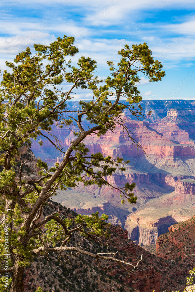 Grand Canyon National Park in Arizona, USA. Panoramic showing the Grand ...