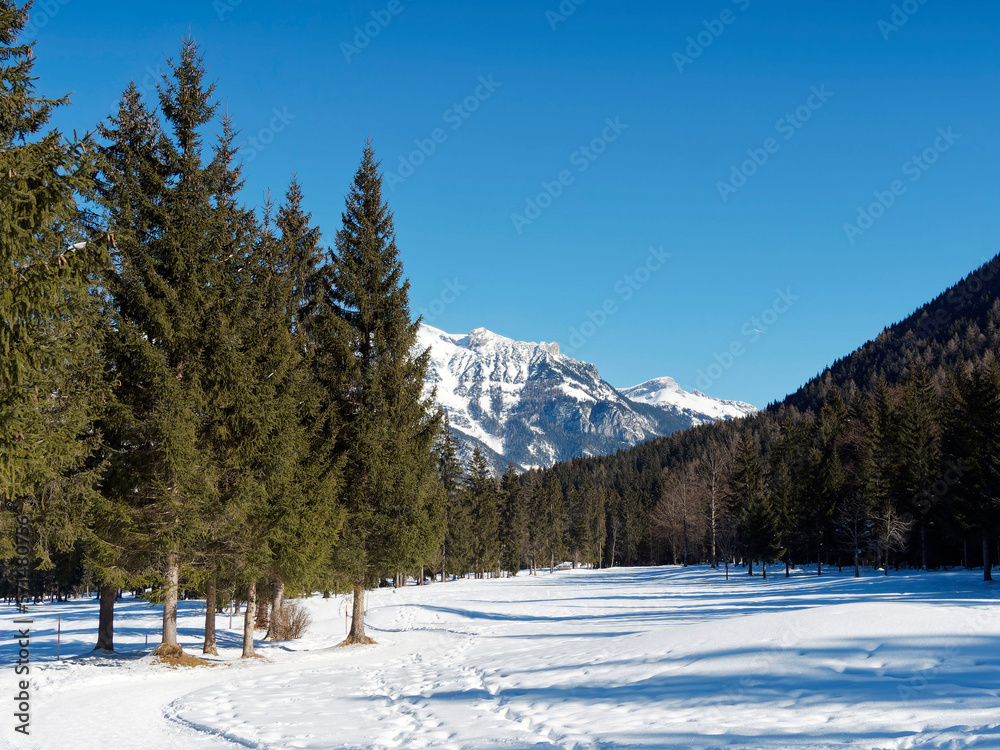 Pertisau am Achensee Tristenau-Rundweg im Winter. Langlaufloipen und ...