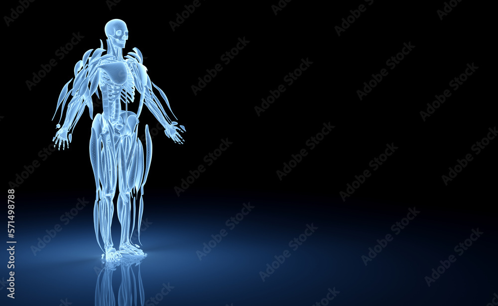 Digital x-ray human body holographic scan projection 3D rendering Stock ...