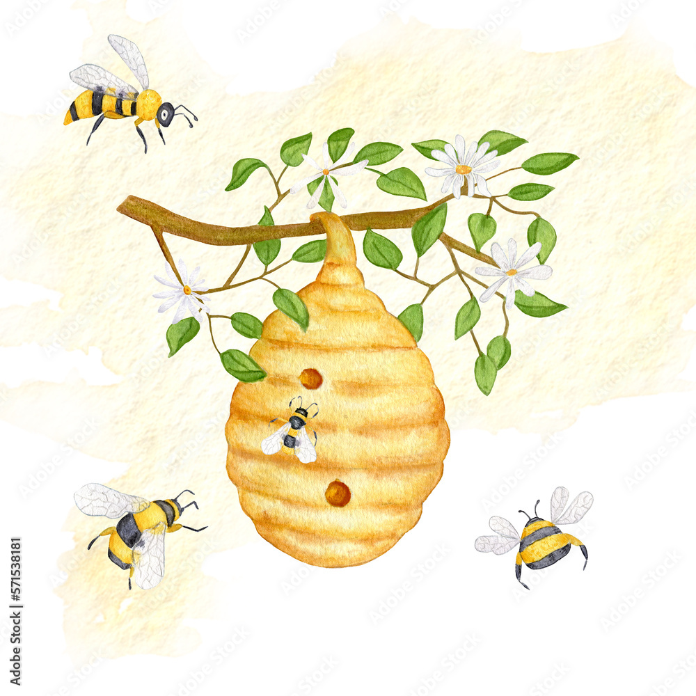 Watercolor illustration on the topic of beekeeping. Wild Bee Hive On ...