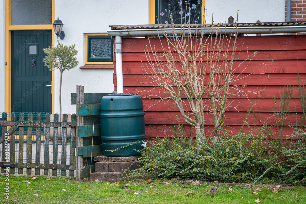 Green rain barrel for rainwater harvesting attached to the drainage of ...