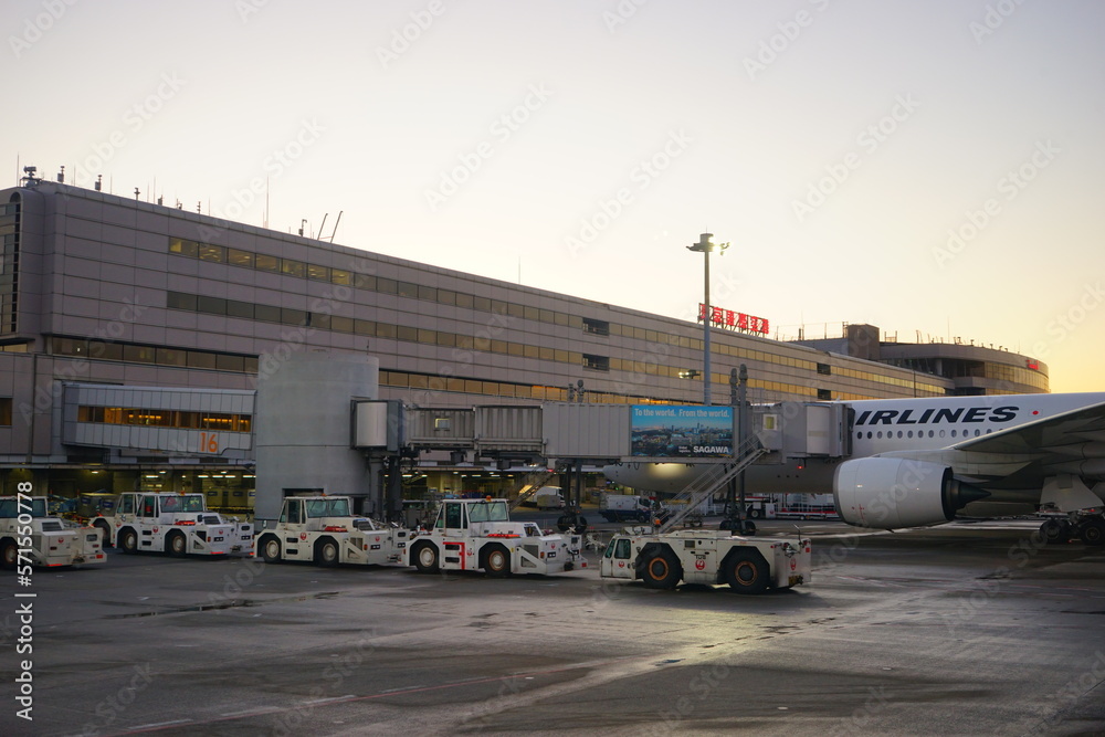 JAL Aircraft at Haneda Airport Terminal - 羽田空港 ターミナル JAL 飛行機 foto de ...