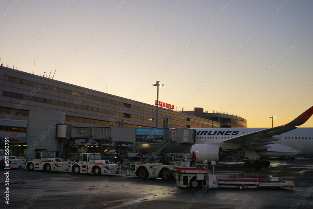 JAL Aircraft at Haneda Airport Terminal - 羽田空港 ターミナル JAL 飛行機 foto de ...