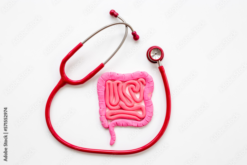 Intestines colon organ stomach shape of plasticine. Digestive tract ...