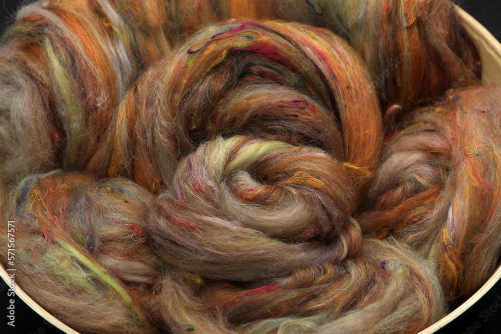 Closeup of lots of beautiful sheep wool fibres in a roving ready for ...