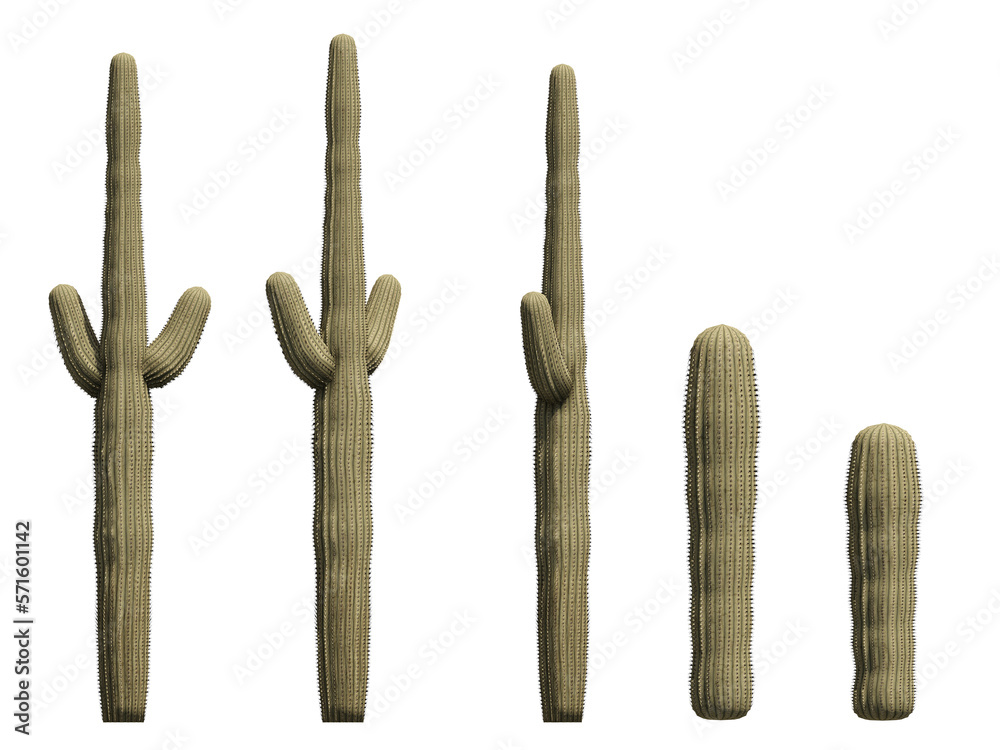 Set of tree-like cacti, saguaro, cactus, succulents, 3D rendering. For ...