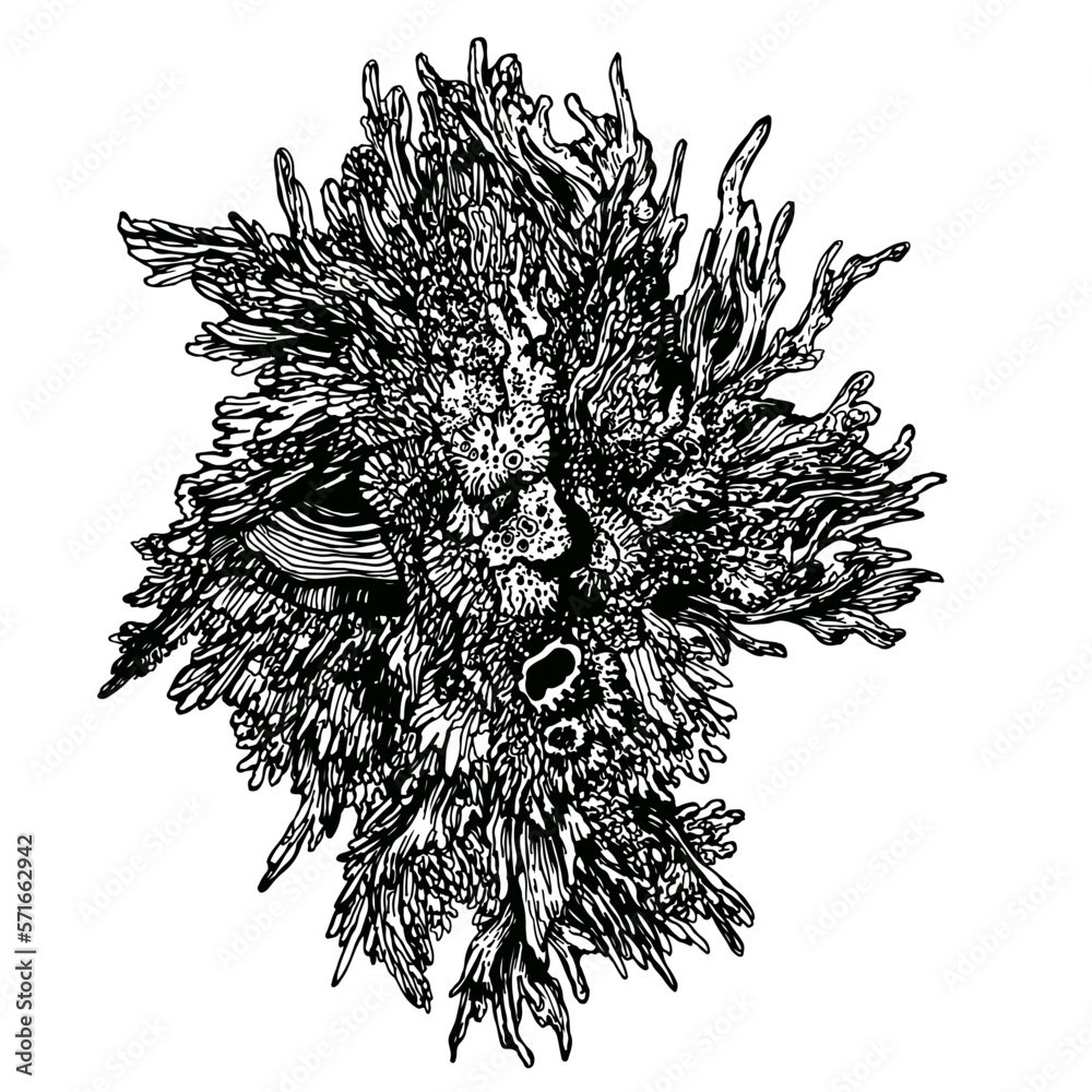 Black and white moss sketch with tree bark, tree fungus and different ...