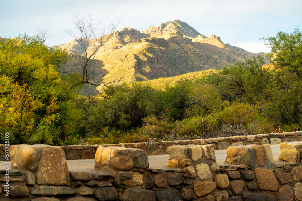 Tall hills and mountains in tuscon arizona in sabino national park in ...