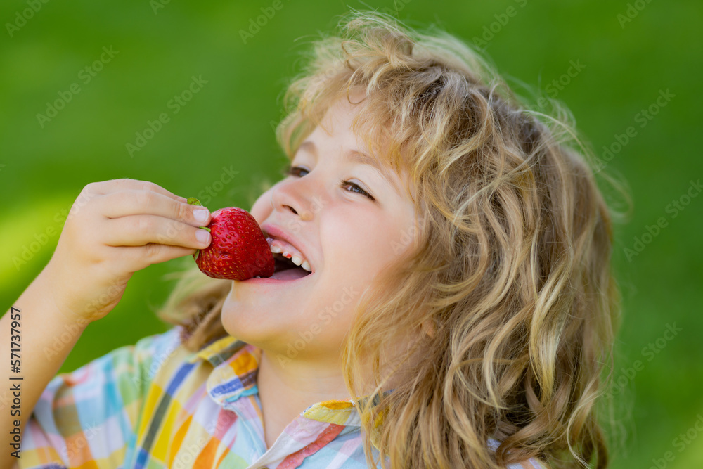 The child is picking strawberry in the garden. Happy little child with ...