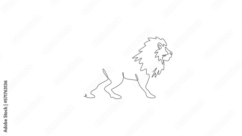 Animation of one single line drawing of wild male lion illustration ...