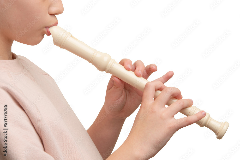 Recorder instrument. Soprano recorder, German fingering. Flute pipe ...