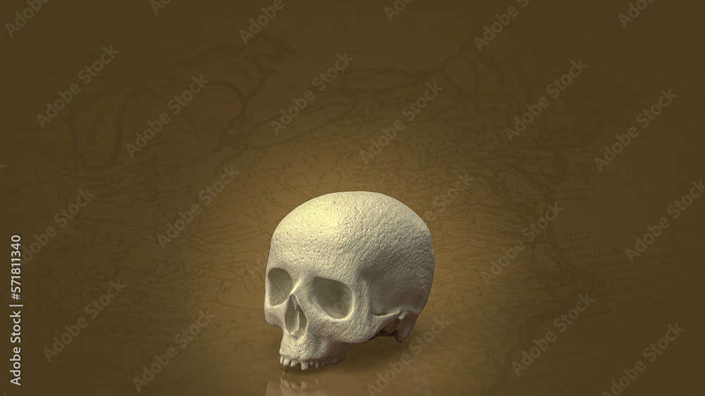 The human skull on vintage map for education or sci concept 3d ...
