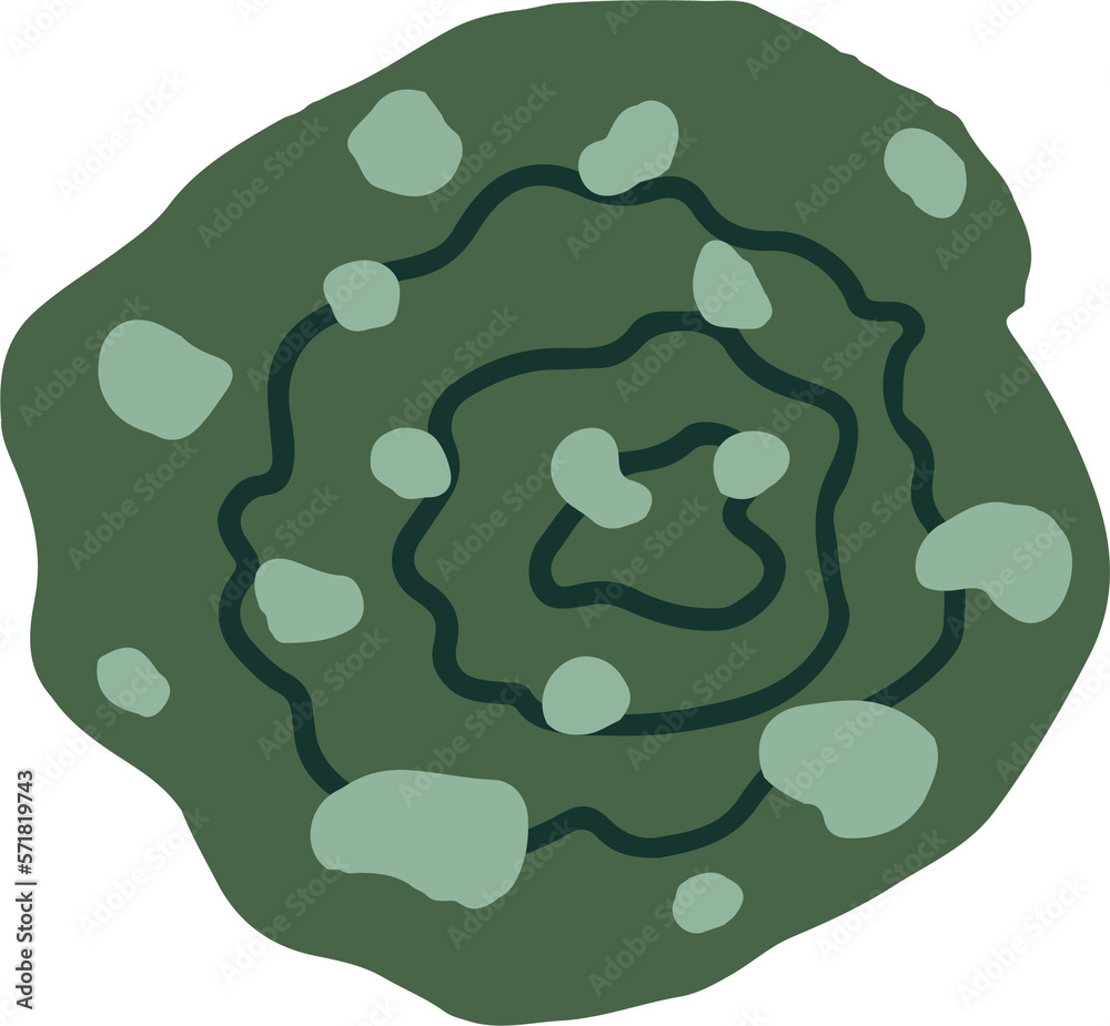 Lichen or moss isolated PNG element. Forest woodland fungus. Cute hand ...