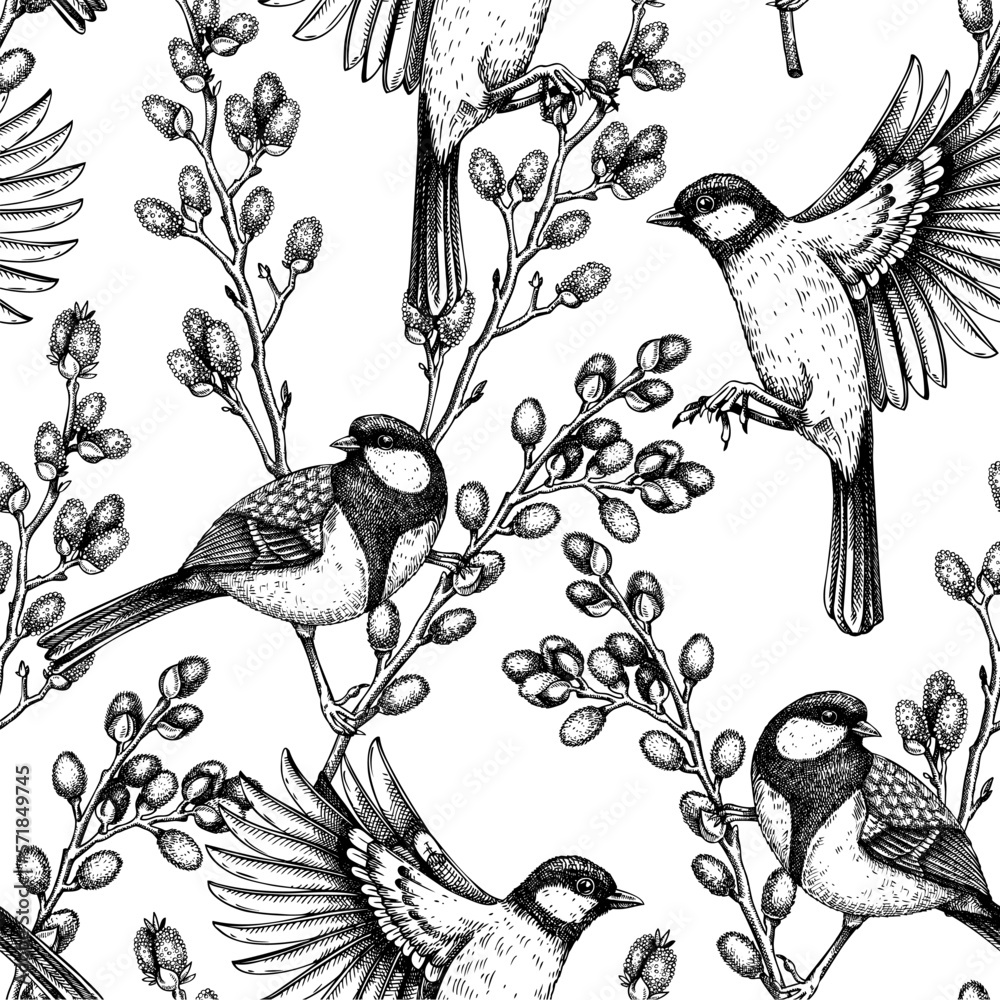 Delicate spring background. Great tits on willow branches in sketched ...