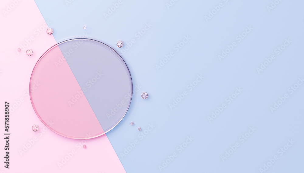 Round form glass plate. Transparent glass in round form In realistic ...