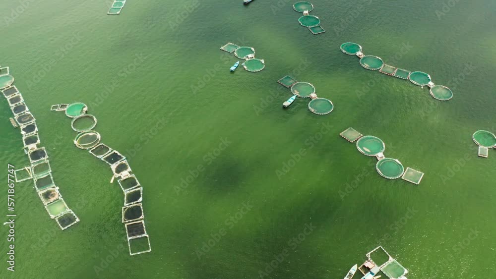Fish farm with cages for fish and shrimp on the lake Taal, top view ...