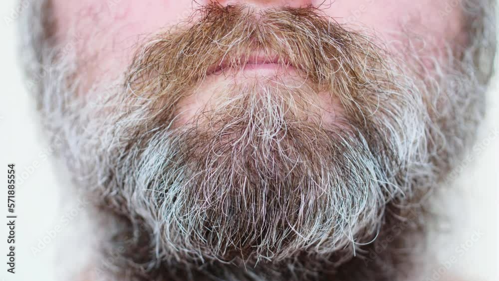 Emotional man with a beard laughs. Male full face with glasses with a ...