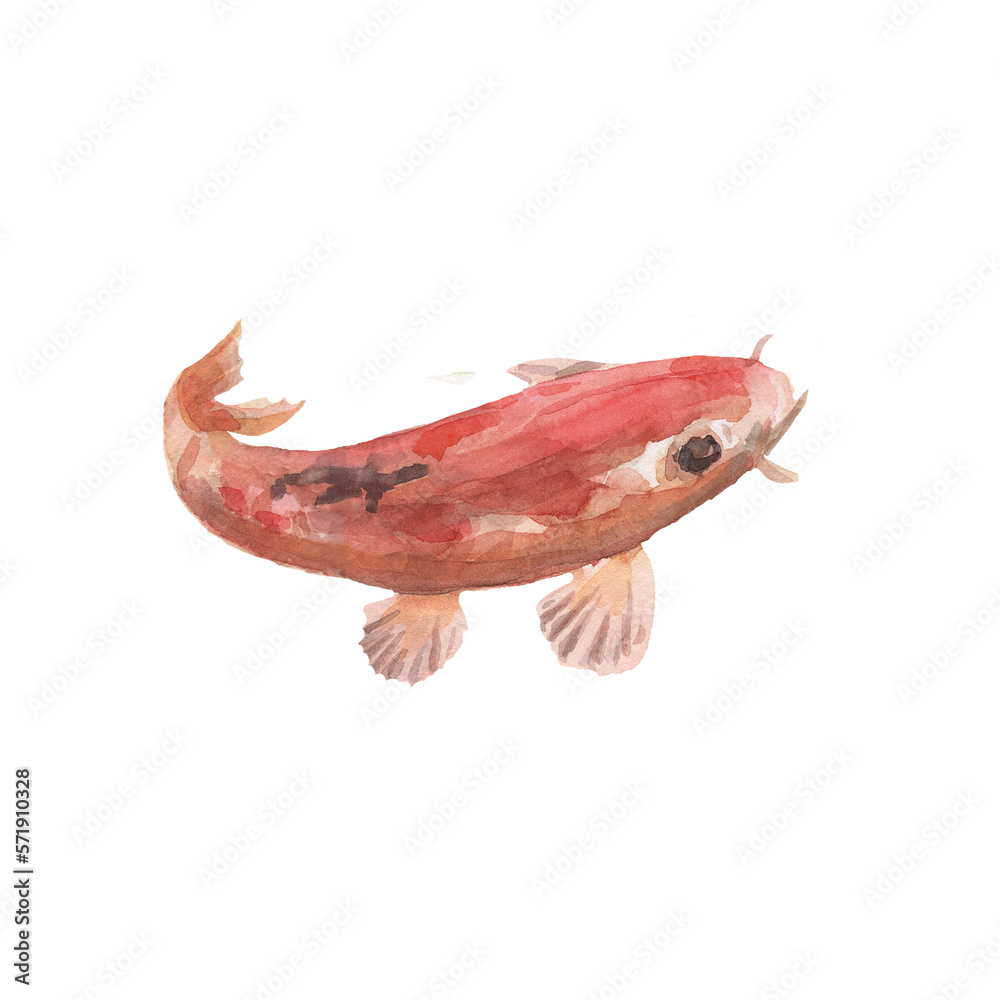 Koi fish Japanese garden pond stones lantern gate red rock garden ...