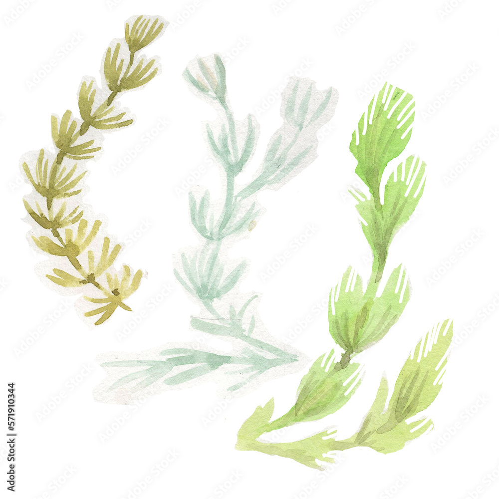 Koi fish Japanese garden pond stones lantern gate red rock garden ...