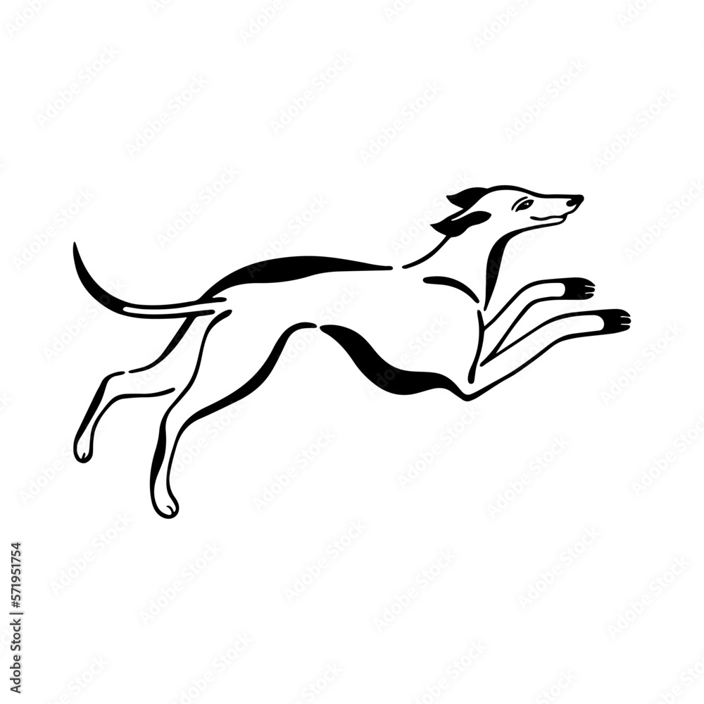 Vector drawing of a running dog. Dog of hunting breed. Greyhound dog ...