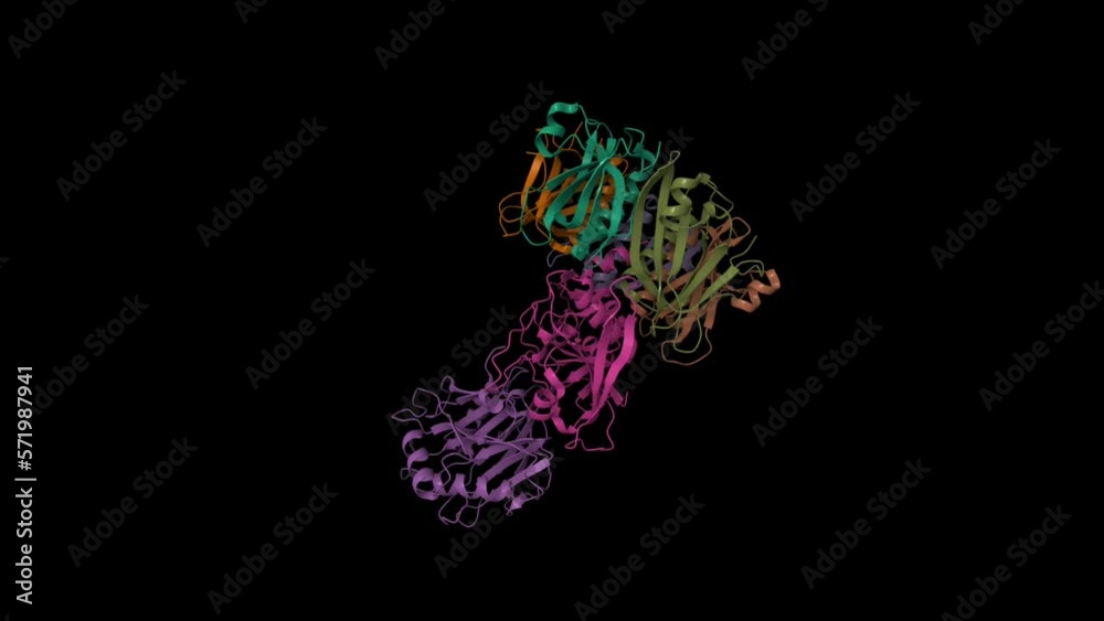 Structure of typhoid toxin. Animated 3D cartoon and Gaussian surface ...