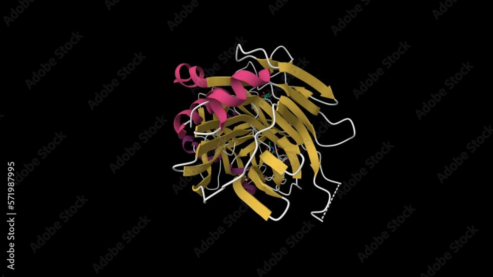 Structure of botulinum neurotoxin type C. Animated 3D cartoon model ...