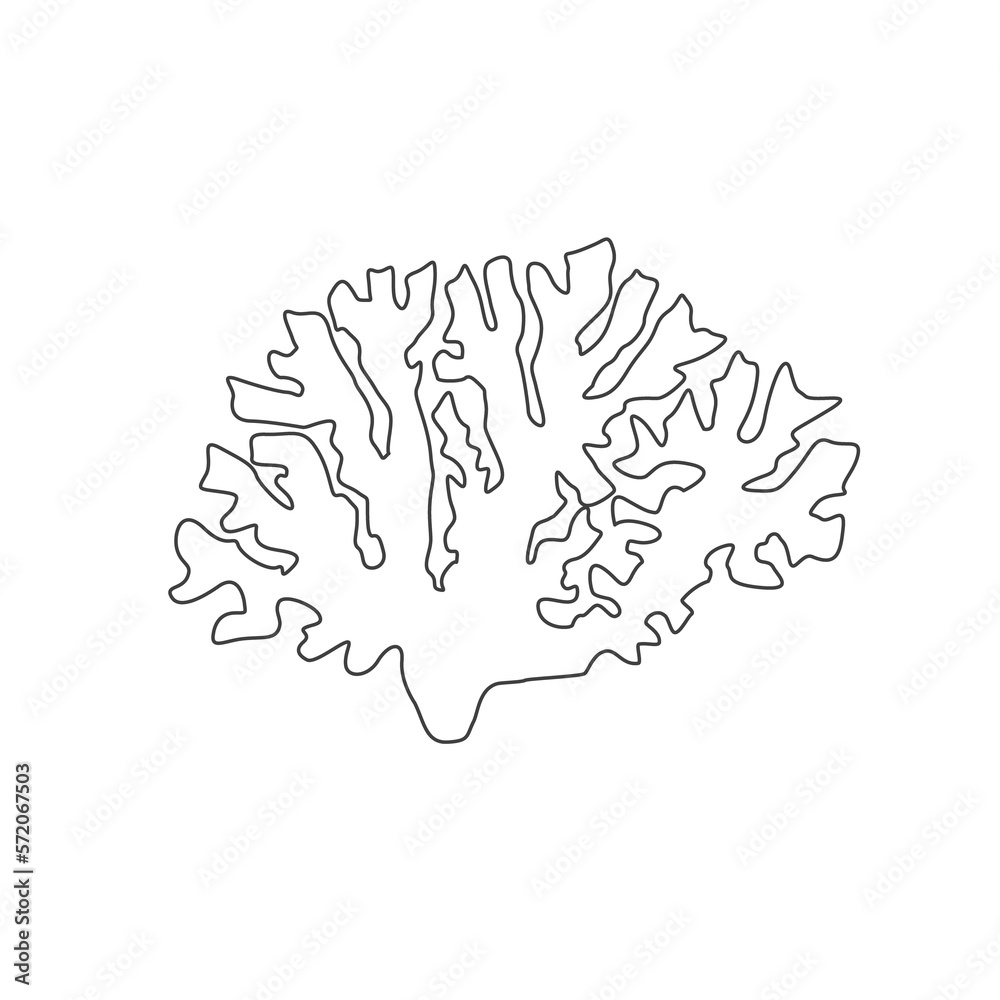 One line drawing of a coral. A simple outline illustration of an ...