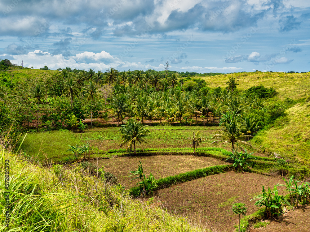 Teletubbies Hill located in the village of Tanglad, Nusa Penida ...