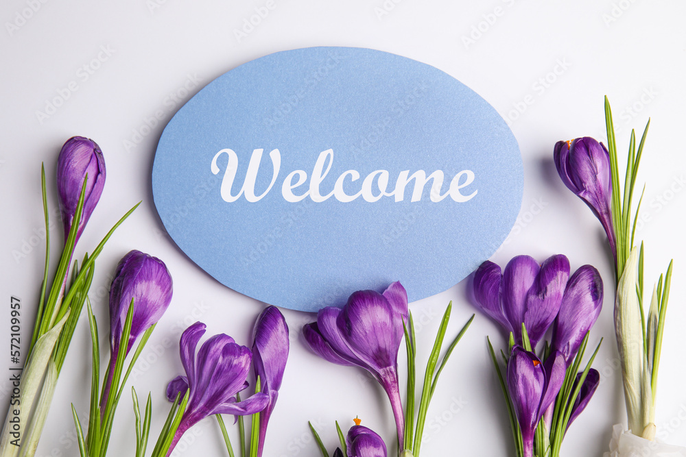 Welcome card and beautiful crocus flowers on white background, top view ...