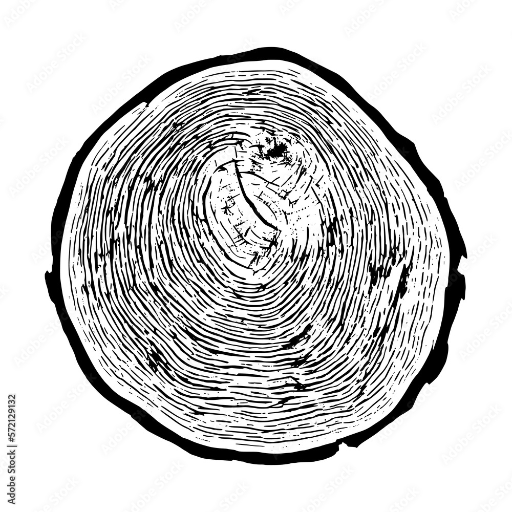 Log cut, vector illustration. Tree rings pattern, shades of gray. Stock ...