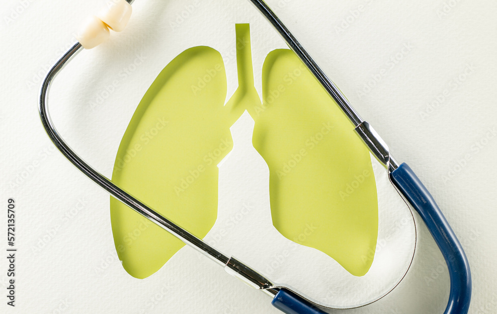 World Tuberculosis Day. Overhead lungs green paper symbol and medical ...