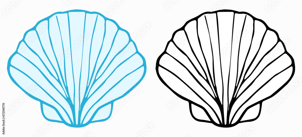 shell clamp oyster blue color clip art line art vector illustration ...