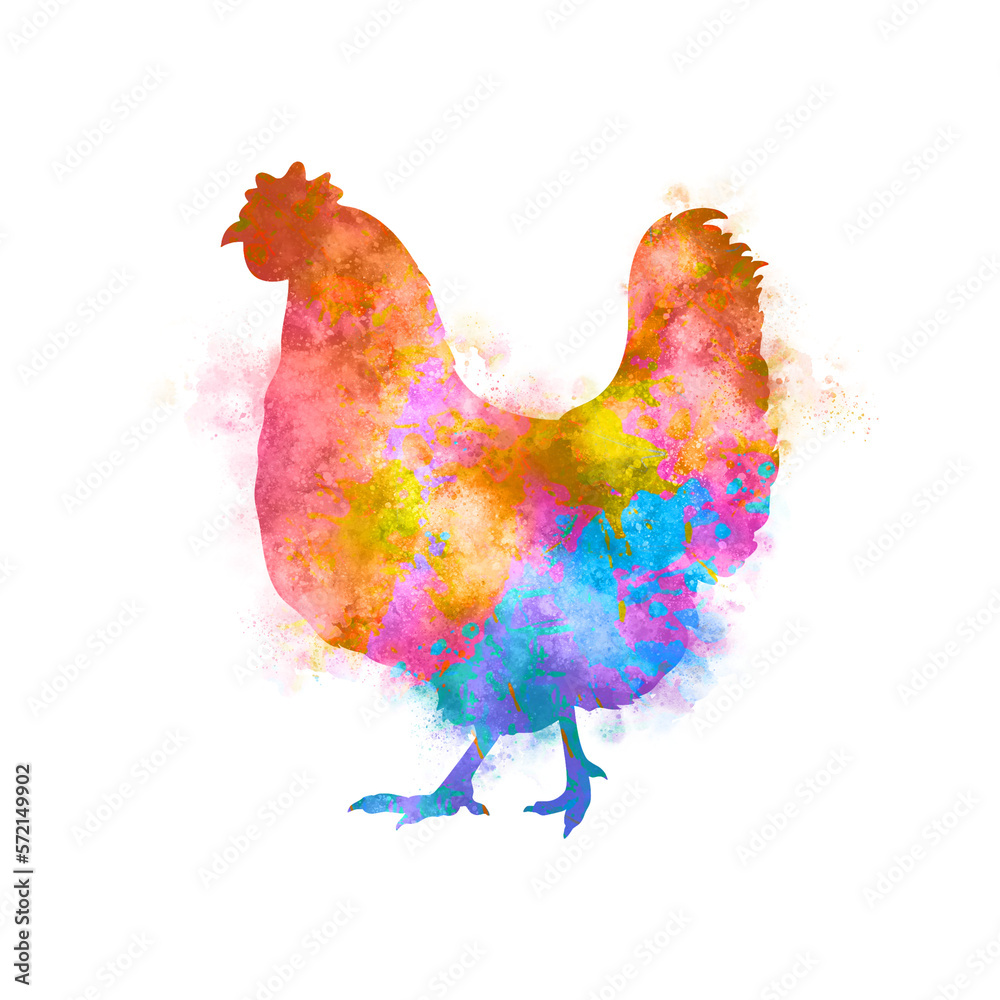 Watercolor chicken drawing, silhouette of a rooster, Watercolor hen art ...