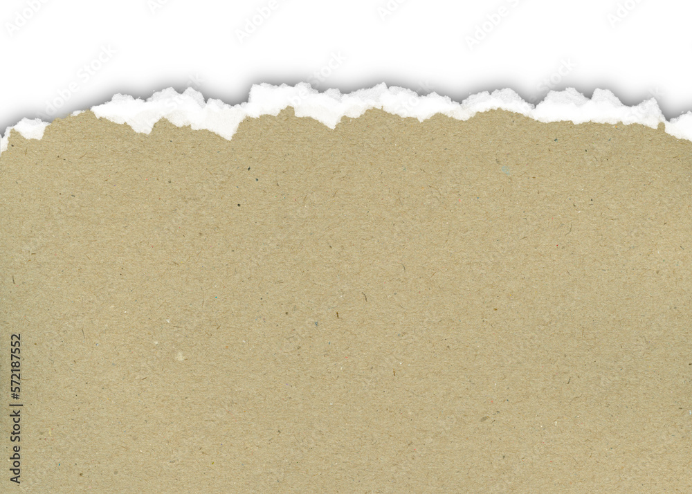 torn paper isolated on transparent background Stock Illustration ...