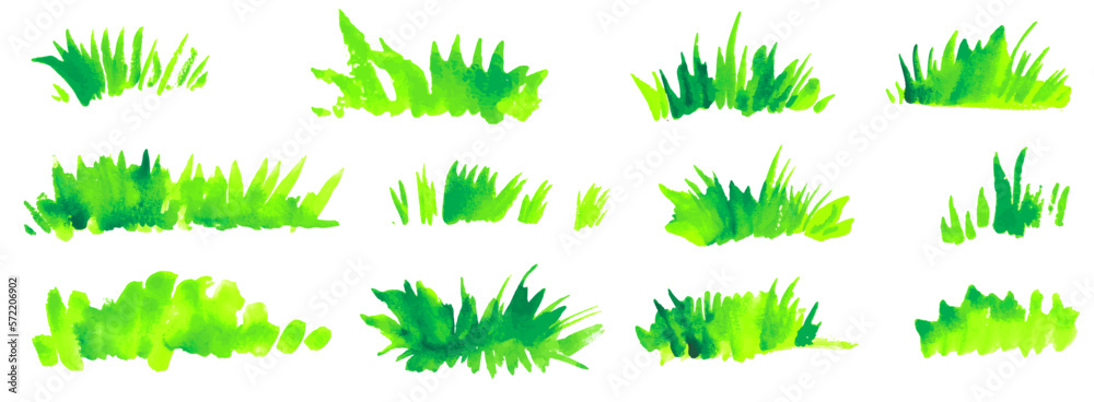 Vector green hand painted watercolor grass. Hand drawn bio, organic ...