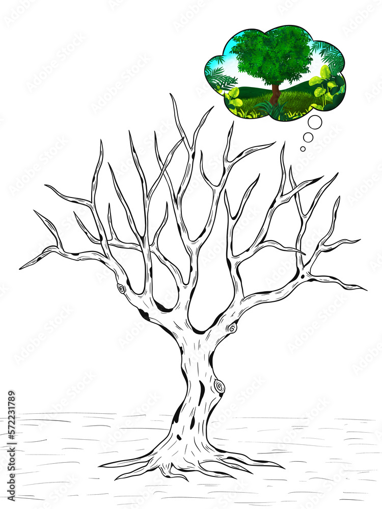 Thinking tree. Dreaming tree. Burnt tree. Arid land. Missing the old ...