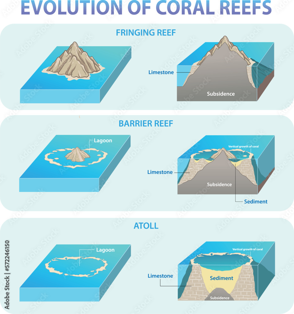 Evolution of coral reefs infographic Stock-Vektorgrafik | Adobe Stock